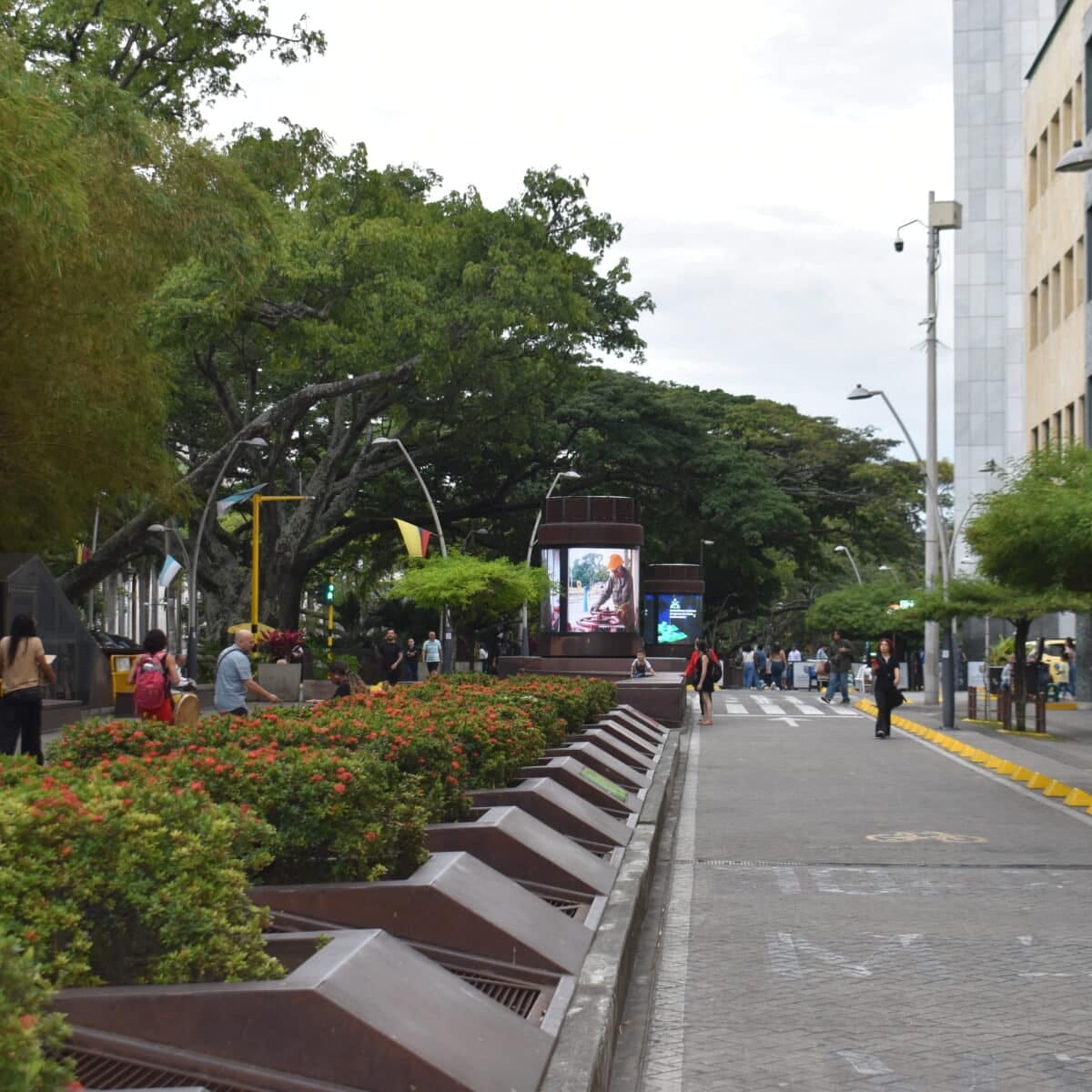 Bulevar del Río Cali |Turismo, gastronomía y entretenimiento