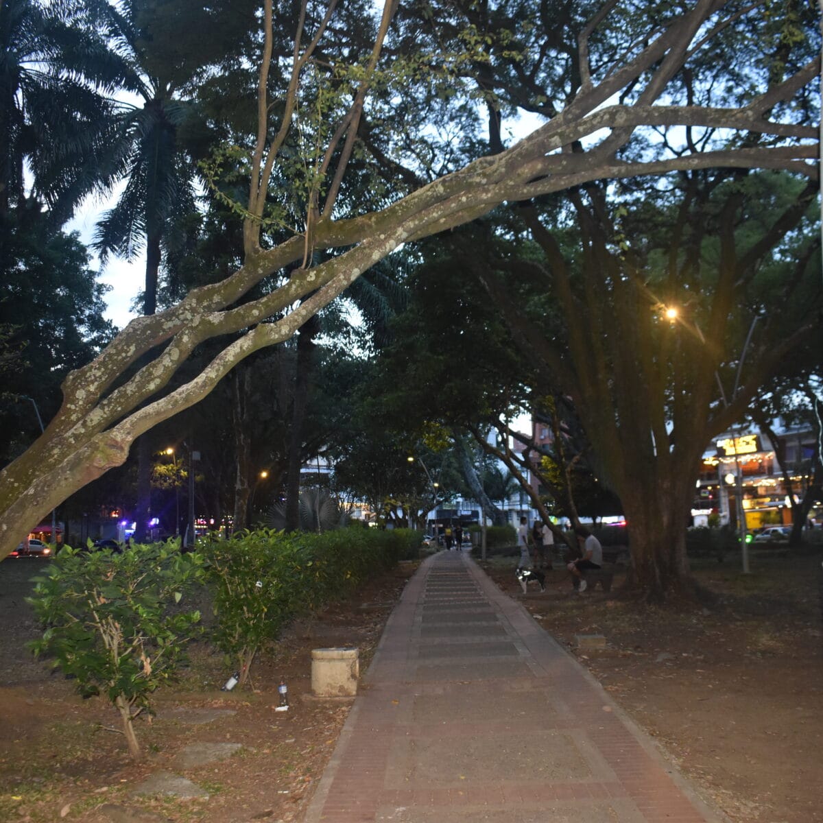 Parque del Perro Cali | Historia, ubicación y qué hacer