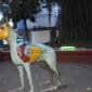 Parque del Perro Cali | Historia, ubicación y qué hacer