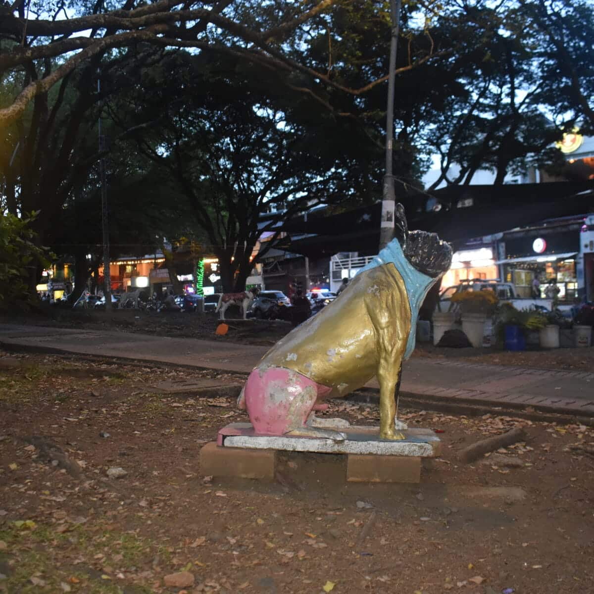 Parque del Perro Cali | Historia, ubicación y qué hacer