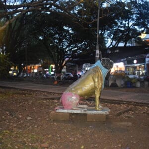 Parque del Perro Cali | Historia, ubicación y qué hacer