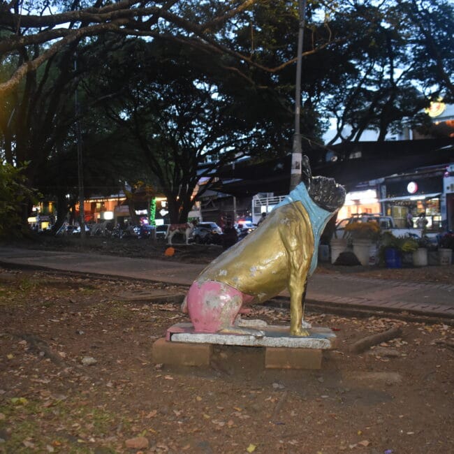 Parque del Perro Cali | Historia, ubicación y qué hacer