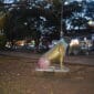 Parque del Perro Cali | Historia, ubicación y qué hacer