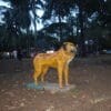 Parque del Perro Cali | Historia, ubicación y qué hacer