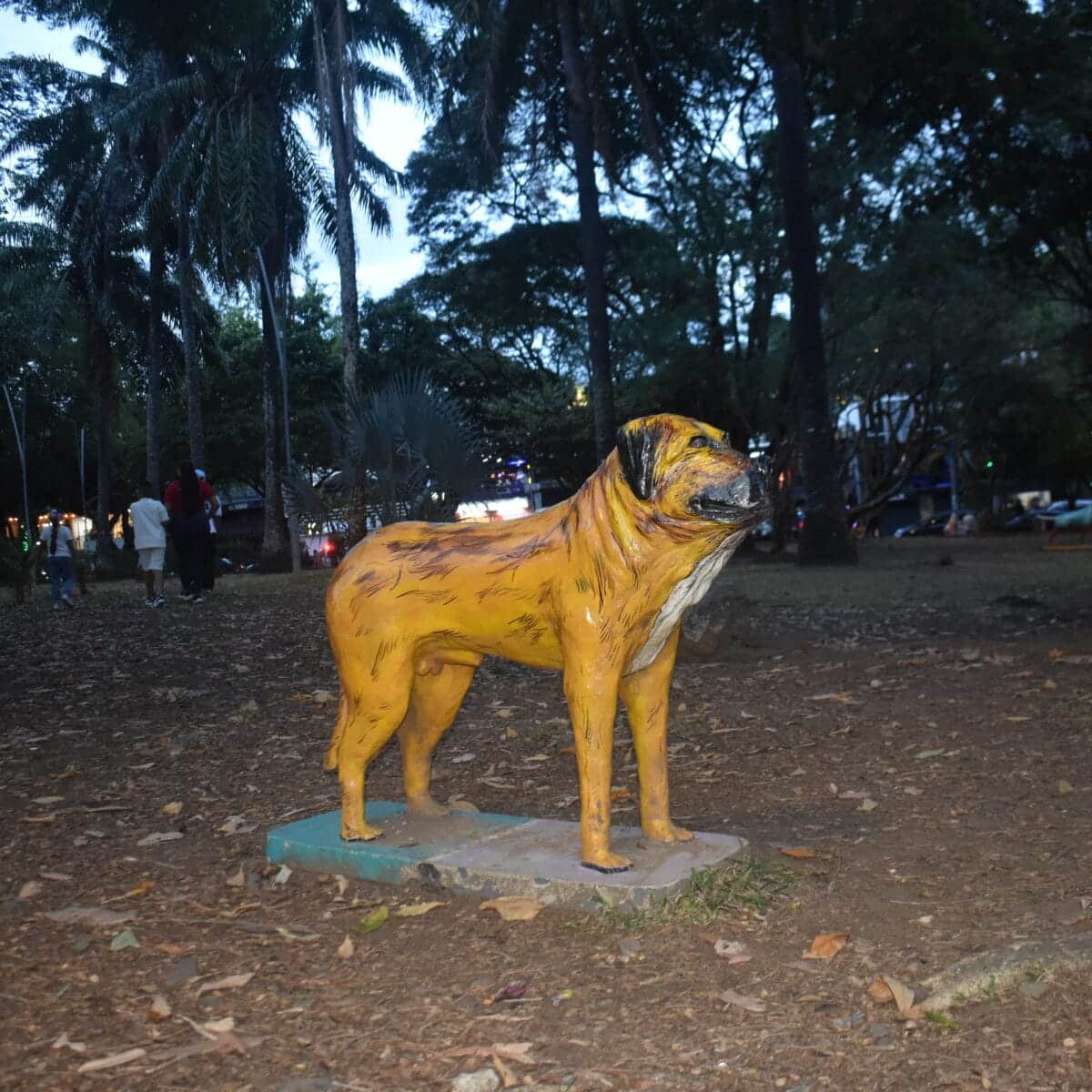 Parque del Perro Cali | Historia, ubicación y qué hacer