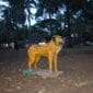 Parque del Perro Cali | Historia, ubicación y qué hacer