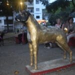 Parque del Perro Cali | Historia, ubicación y qué hacer