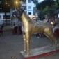 Parque del Perro Cali | Historia, ubicación y qué hacer